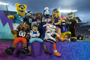 How Much Do NFL Mascots Make? Salaries, Roles & More